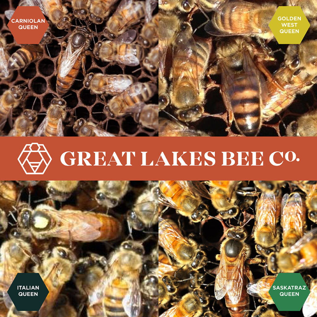 No Bad Bees – The Great Lakes Bee Company